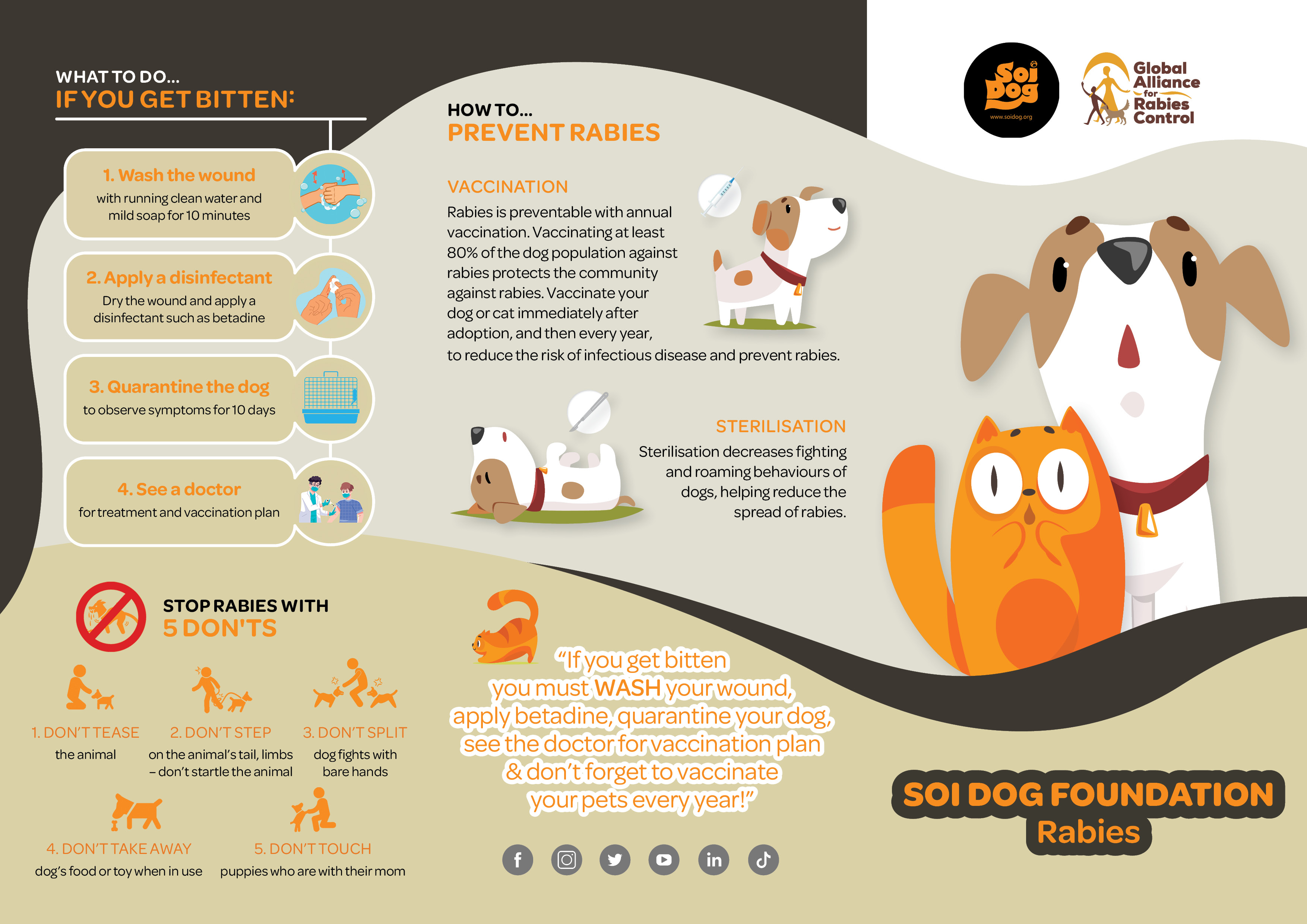 Rabies Brochure (English) | Global Alliance for Rabies Control