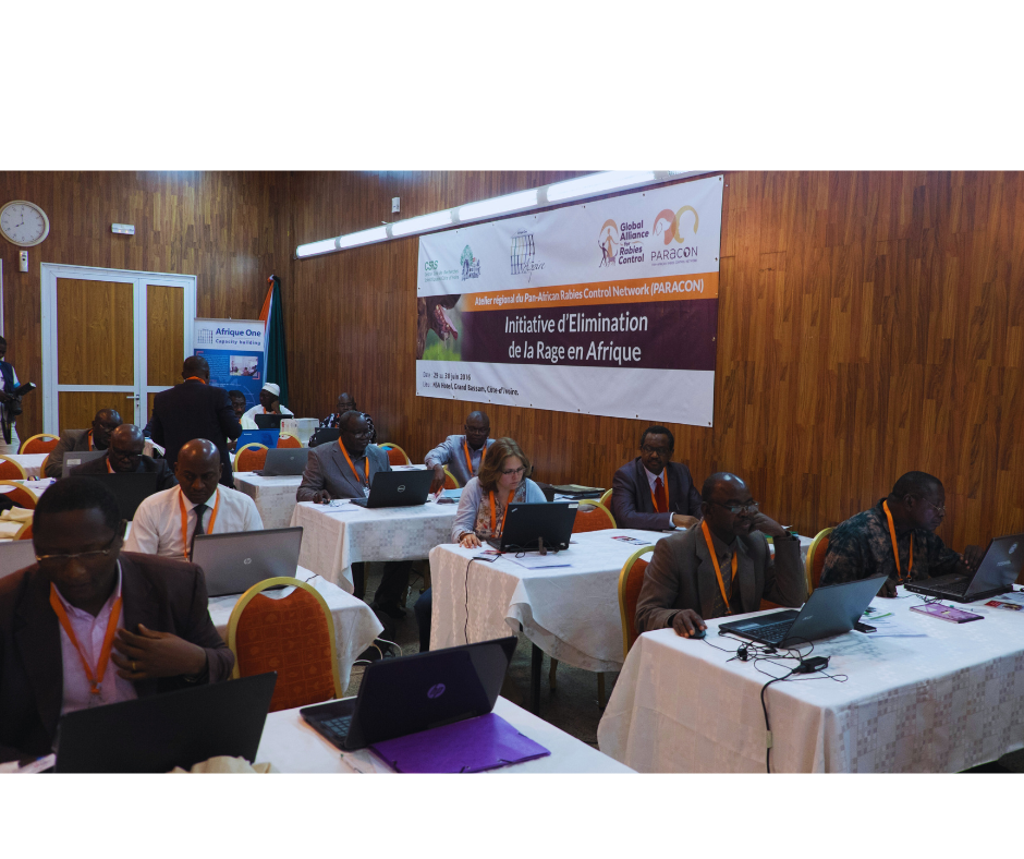 Planning Tools Global Alliance For Rabies Control planning-tools-global-alliance-for-rabies-control